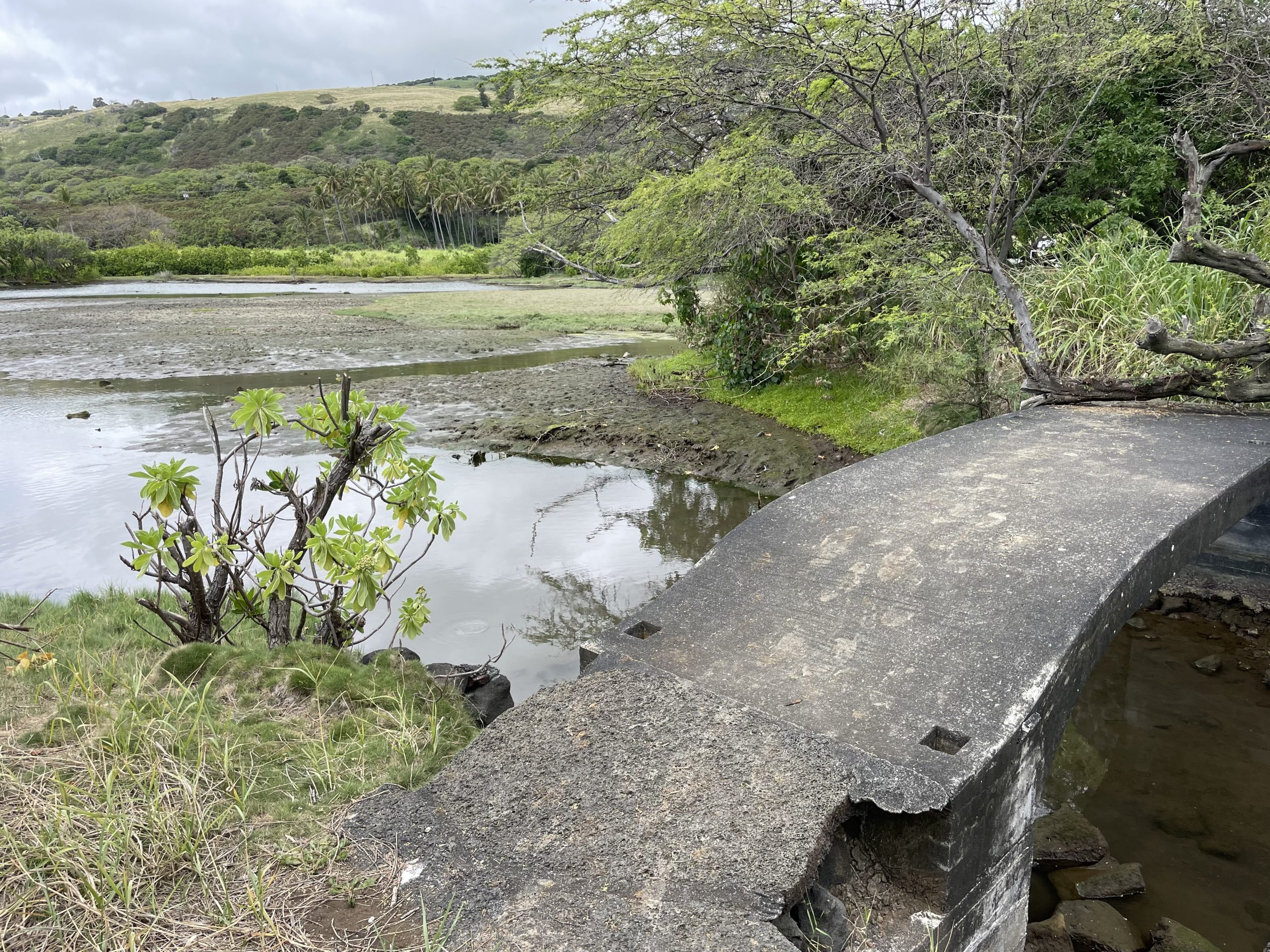 Honu'Apo Estuary Wetland Restoration, Phase I - Bow Engineering - Civil ...