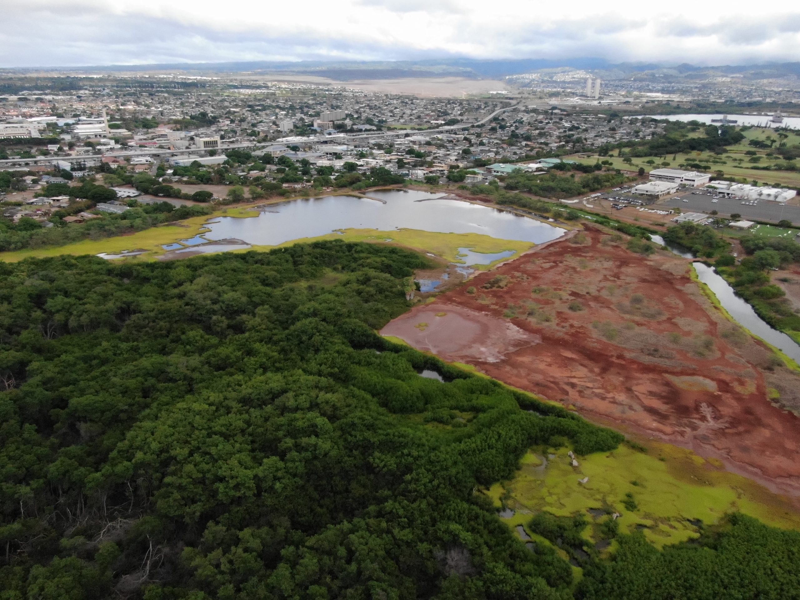 Pouhala Marsh Restoration - EA & ESA - Bow Engineering - Civil and ...